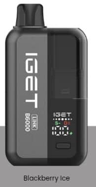 IGET Link B6000 Blackberry Ice For Sale Online– 6,000 Puffs Vape