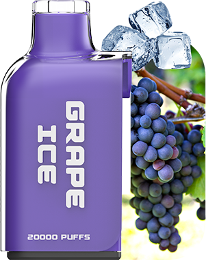 Iget Sun Raspberry Grape Pods For Sale Online – KP20000 Puffs